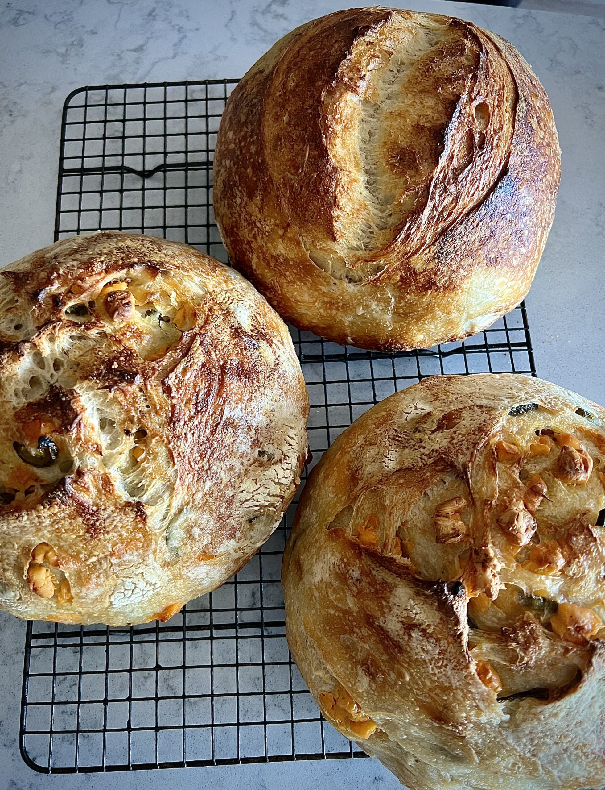 Zeytoon Bread & Co. - Mill City Farmers Market