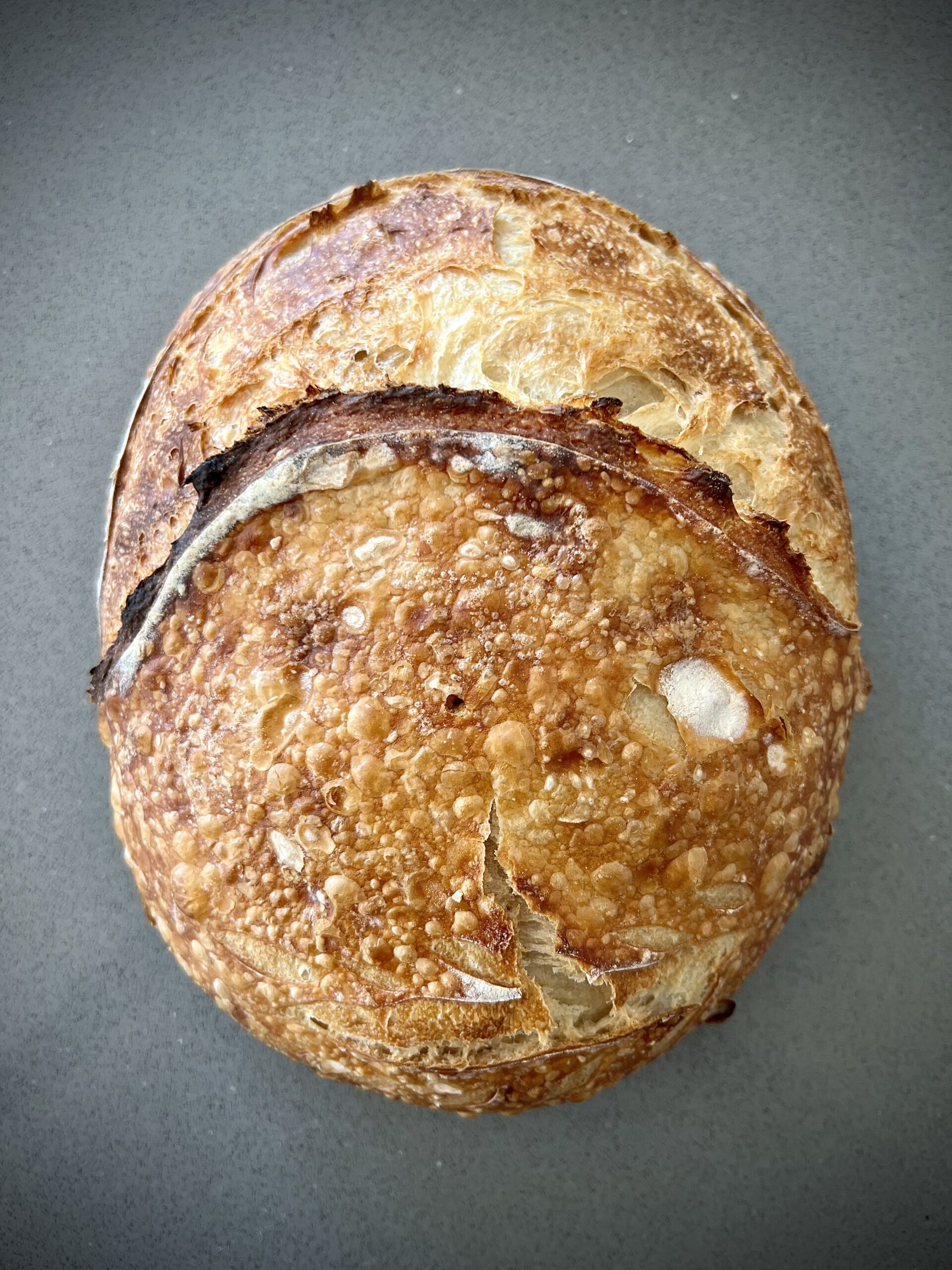 Zeytoon Bread & Co. - Mill City Farmers Market