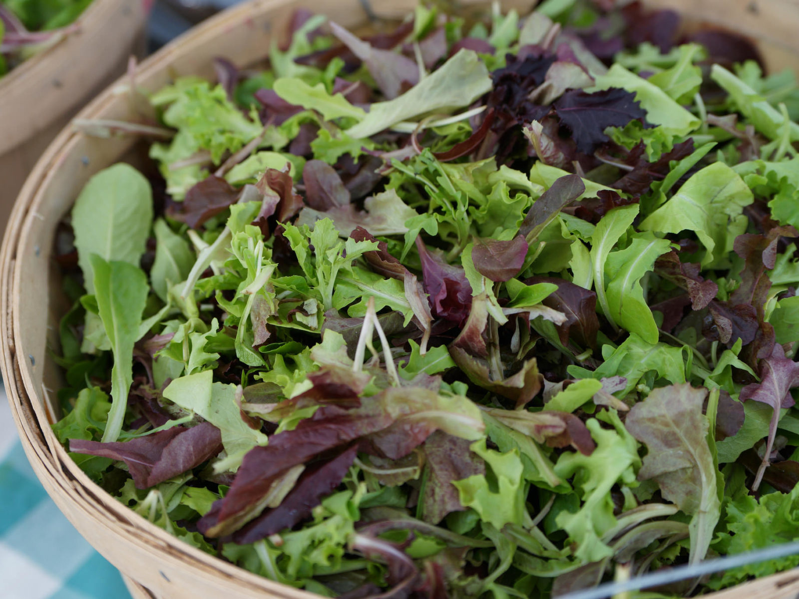 Recipes - Mill City Farmers Market