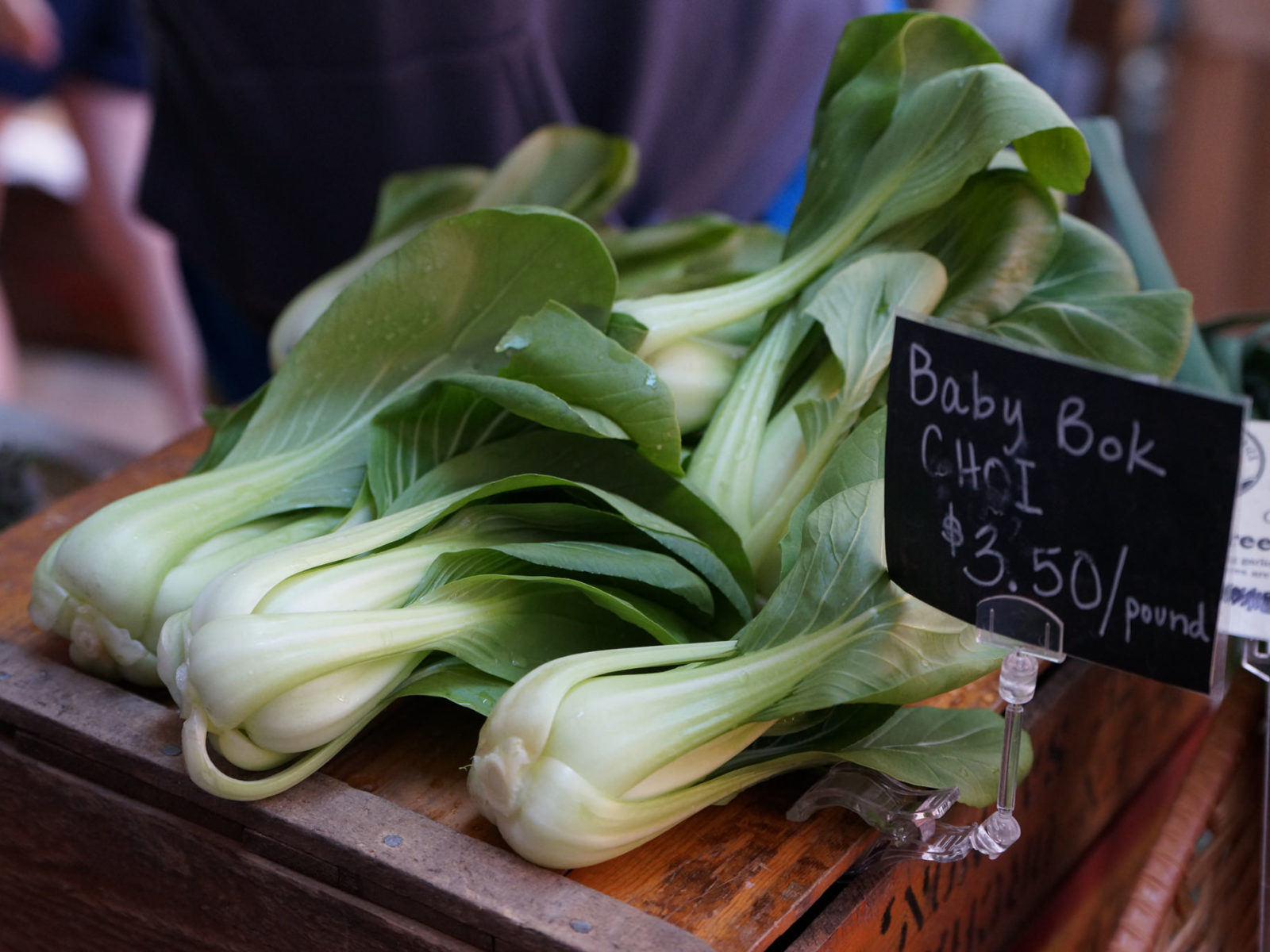 Bok Choy - Mill City Farmers Market