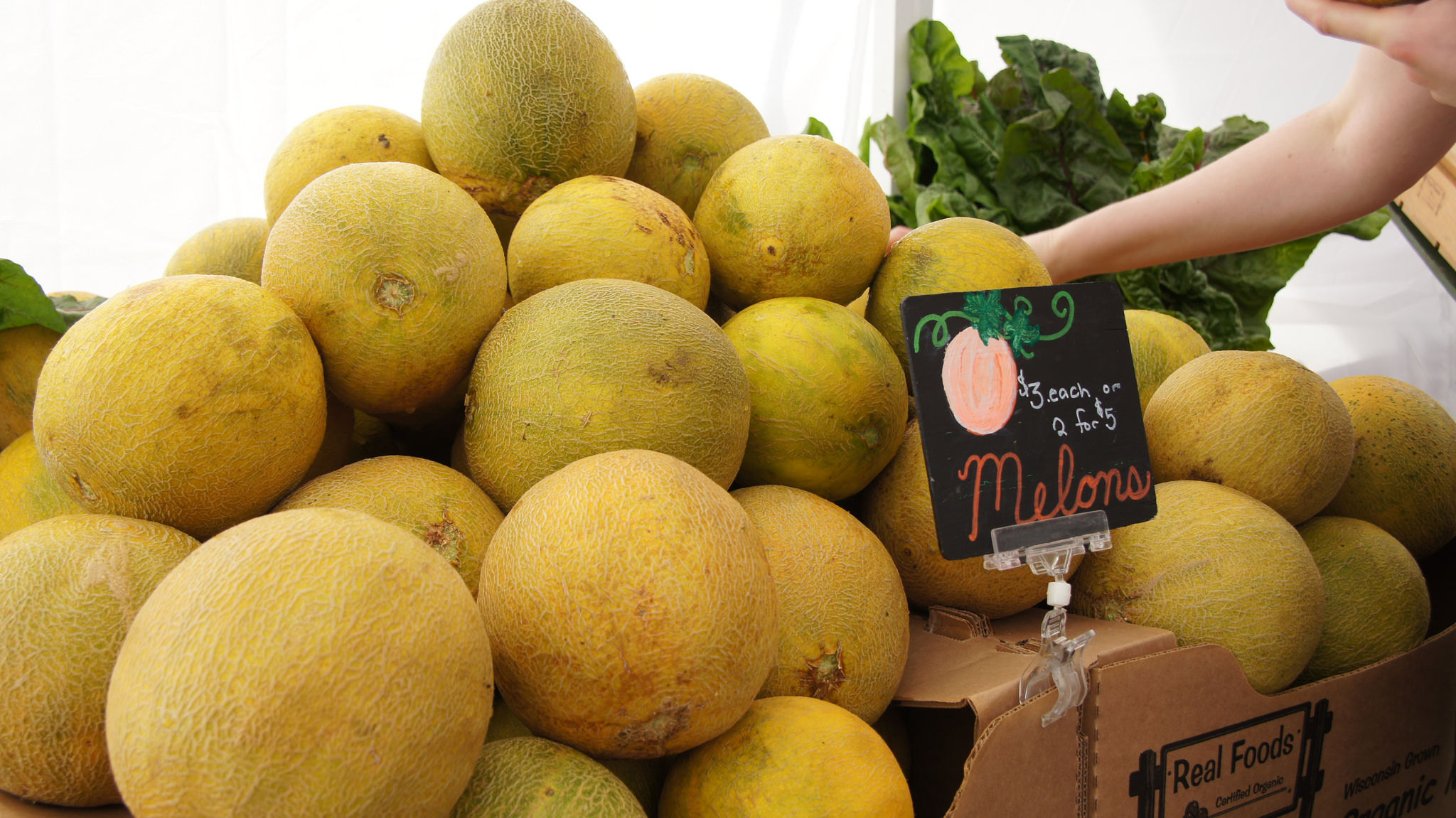 Summer Melon Salad - Mill City Farmers Market
