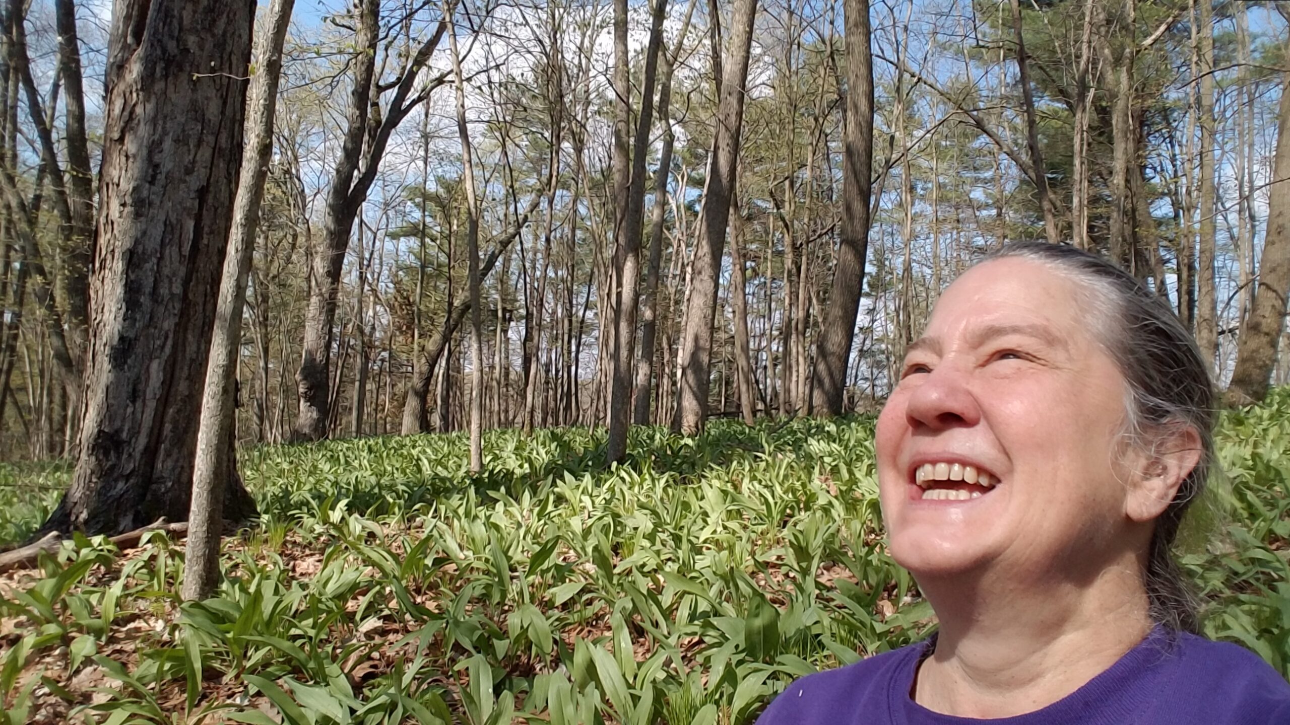 Morning Glory Farm and Gardens - Mill City Farmers Market
