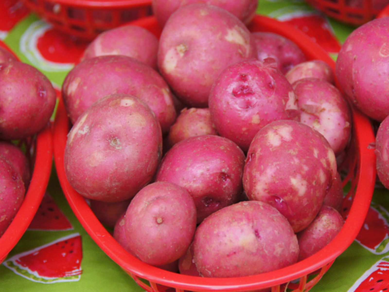 Mill City Farmers Market - Downtown Minneapolis, Minnesota